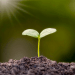 Defender - Plant Protector - AgTek360 I Agriculture Solutions