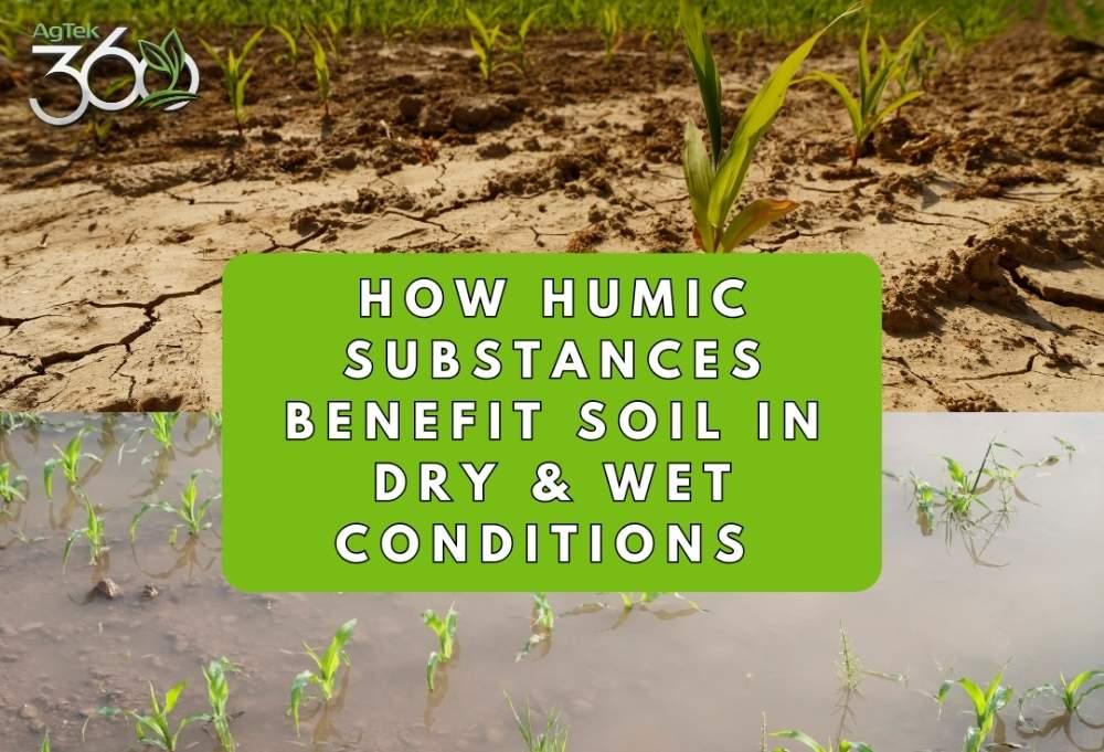 How Humic Substances Benefit Soil in Dry & Wet Conditions - AgTek360 I ...