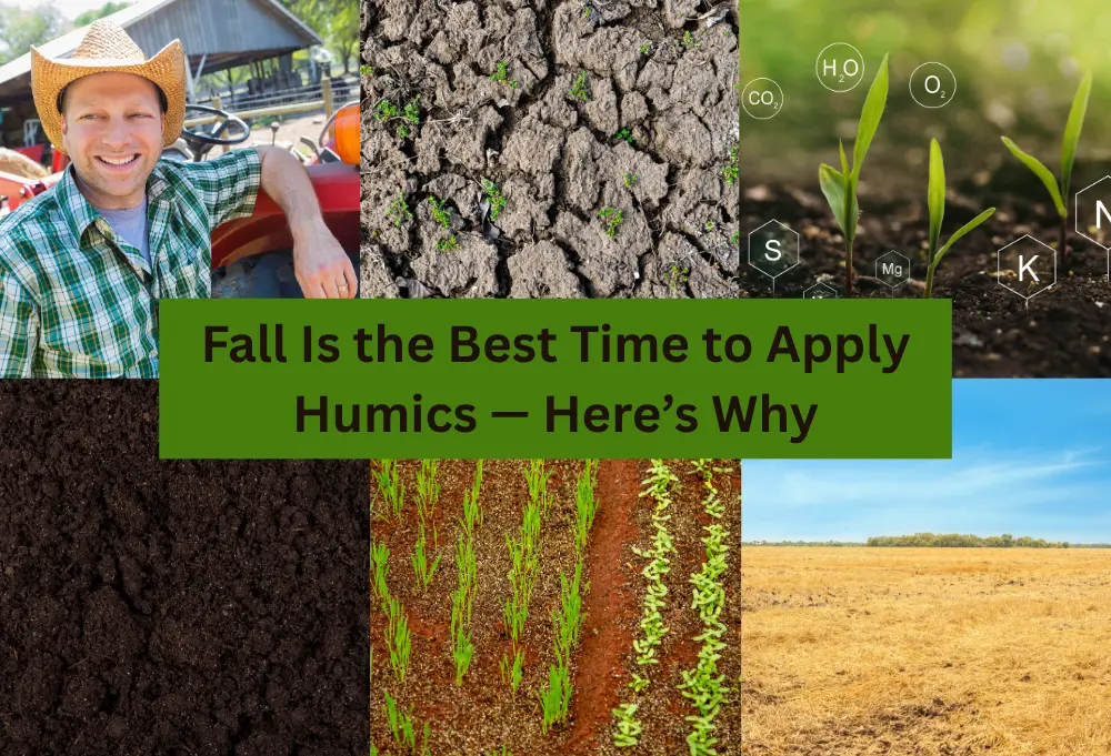 Fall Is the Best Time to Apply Humics — Here’s Why - Regenerative Ag ...